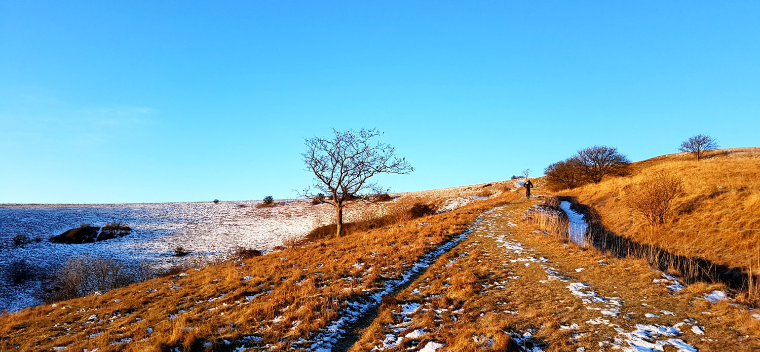 Riding frozen trails